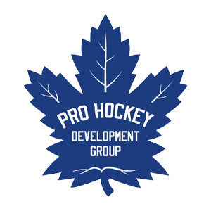 CCM Chicago Brick - 200x85